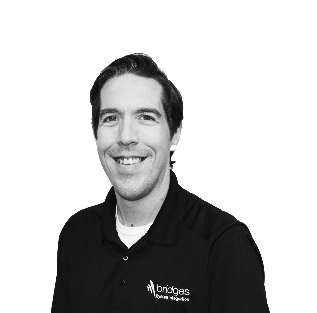 Bridges System Integration (Bridges SI) | We Sell Decision-Making